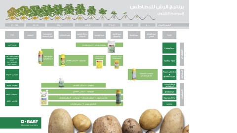 Potatoes - Agricultural Solutions