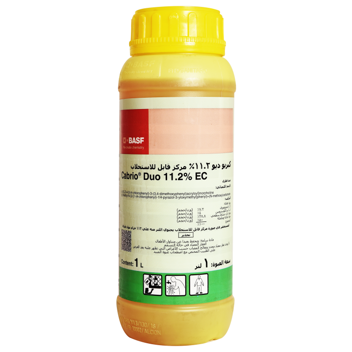 Disease Leaf - Agricultural Solutions