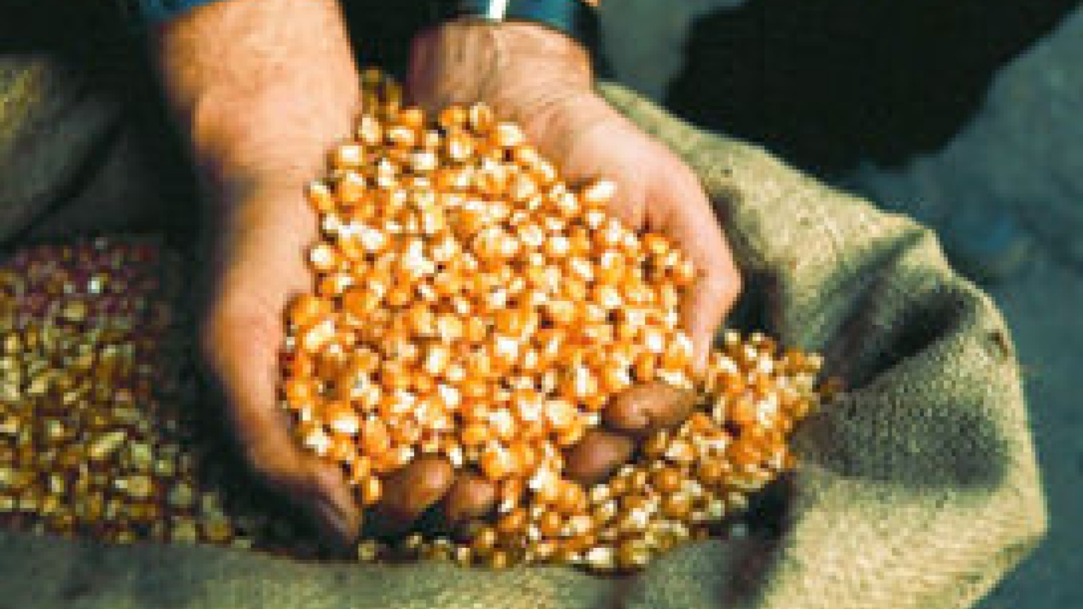 Water: the source of life and a precious resource for agriculture