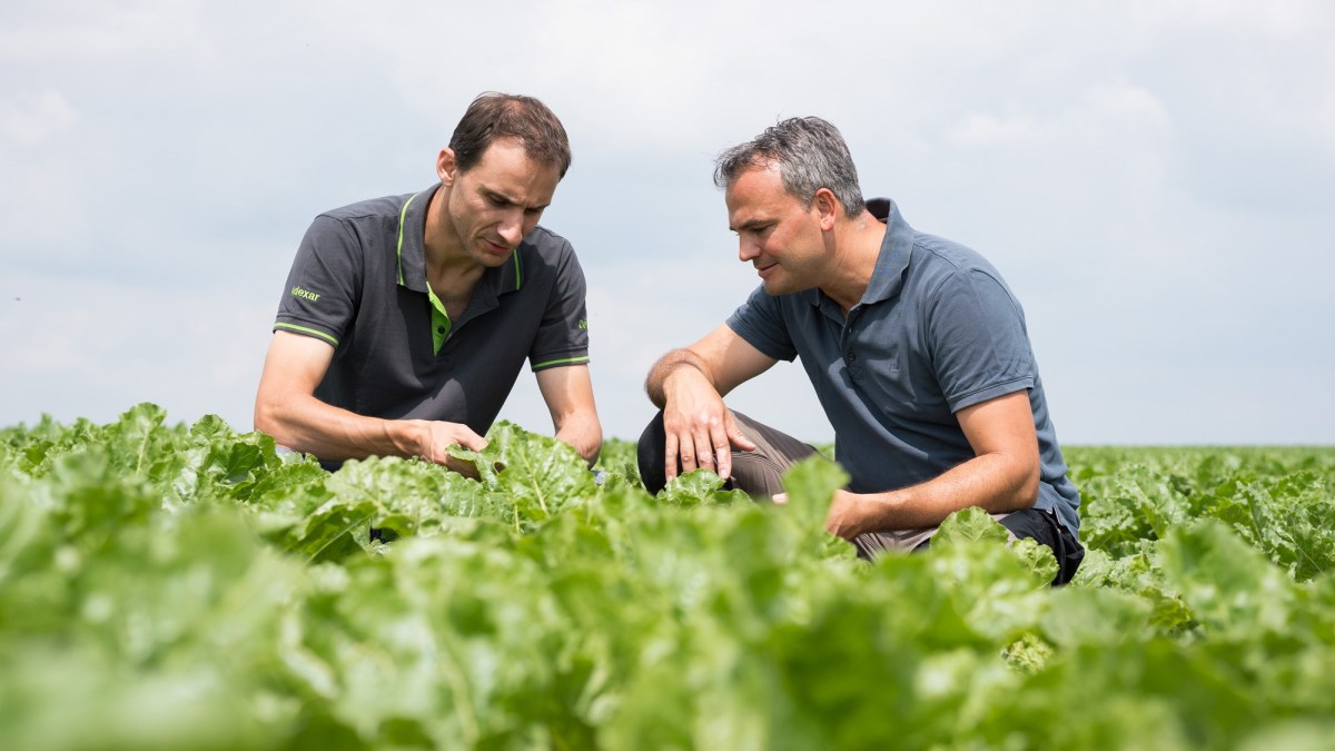 Beets - Agricultural Solutions